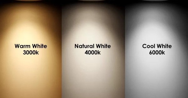 Ταινιες LED (Λεντοταινίες) - 123-led.gr